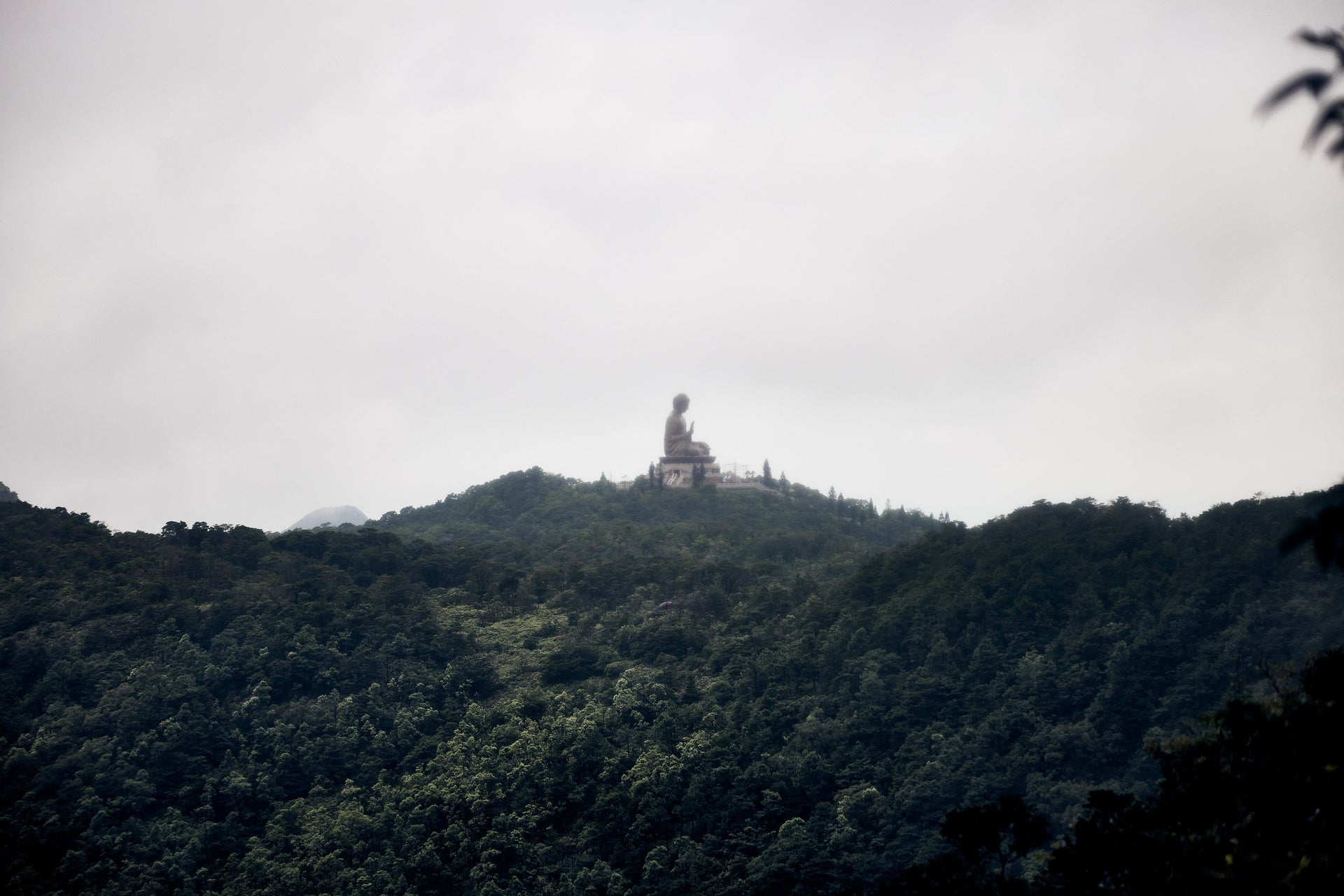 L'ASCENSION DU PHOENIX – norda run eshop